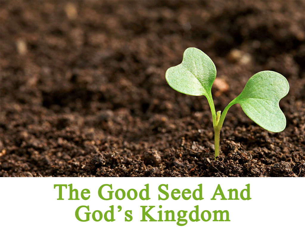 The Sermon The Good Seed and God's Kingdom by David McGee » First ...
